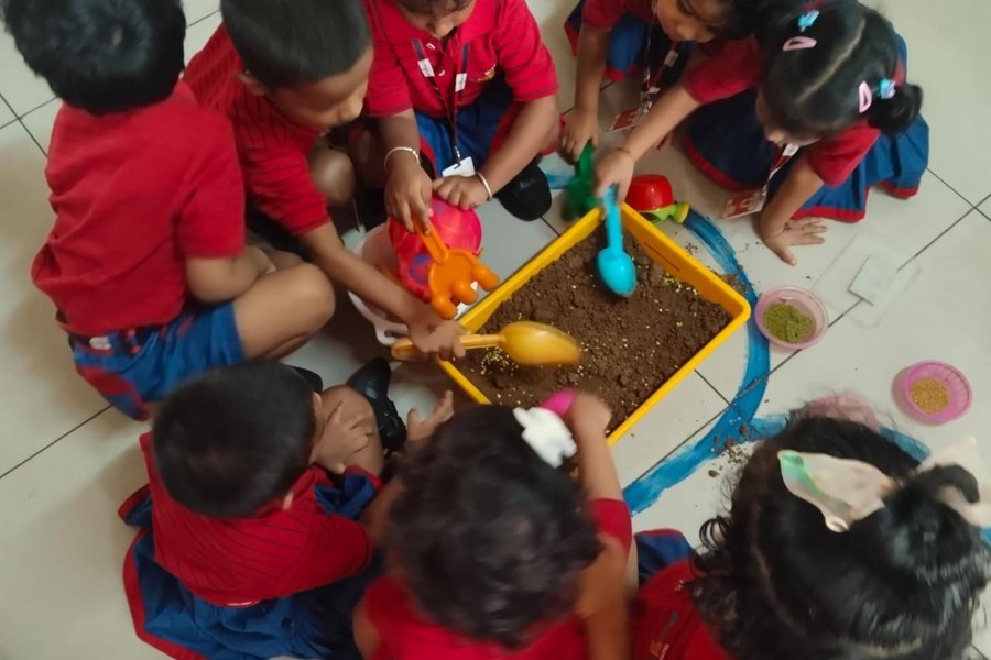 Seed to Plant: Nursery Learners’ Hands-On Exploration of Germination ...