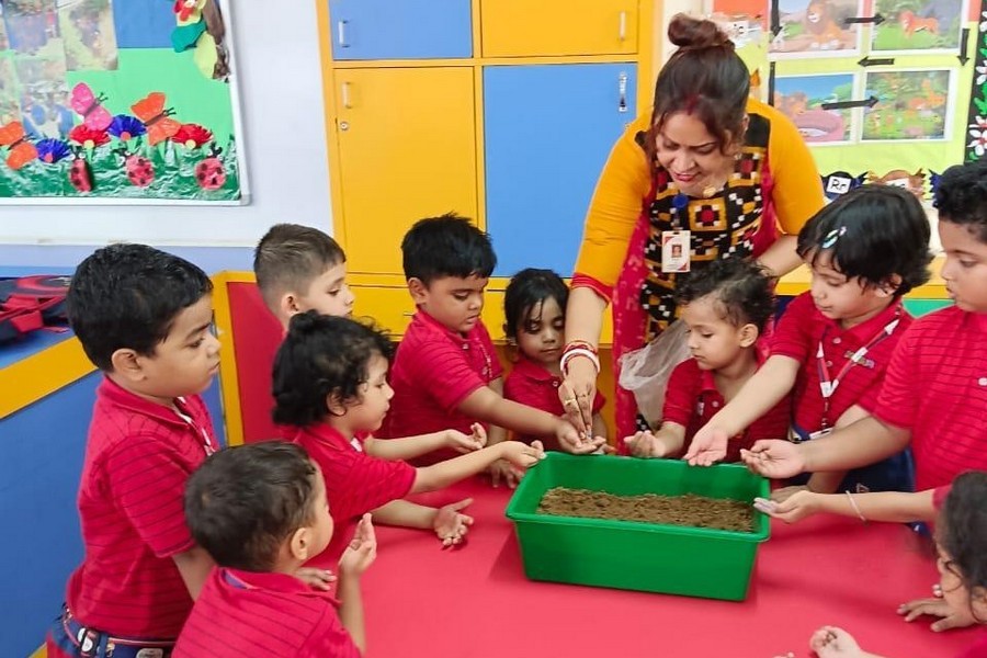 Seed to Plant: Nursery Learners’ Hands-On Exploration of Germination ...